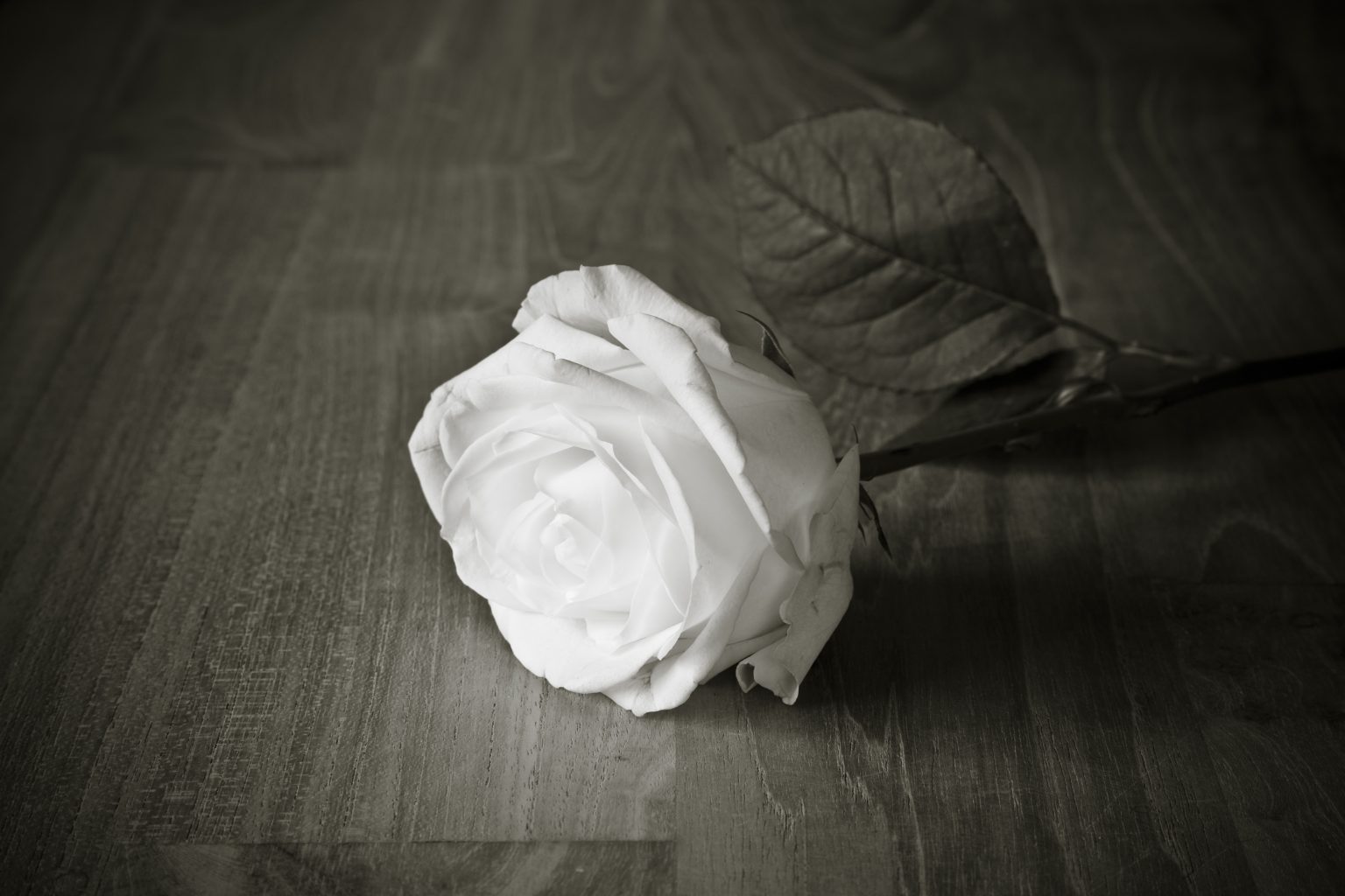 Dixie Lee Christison - KCHI