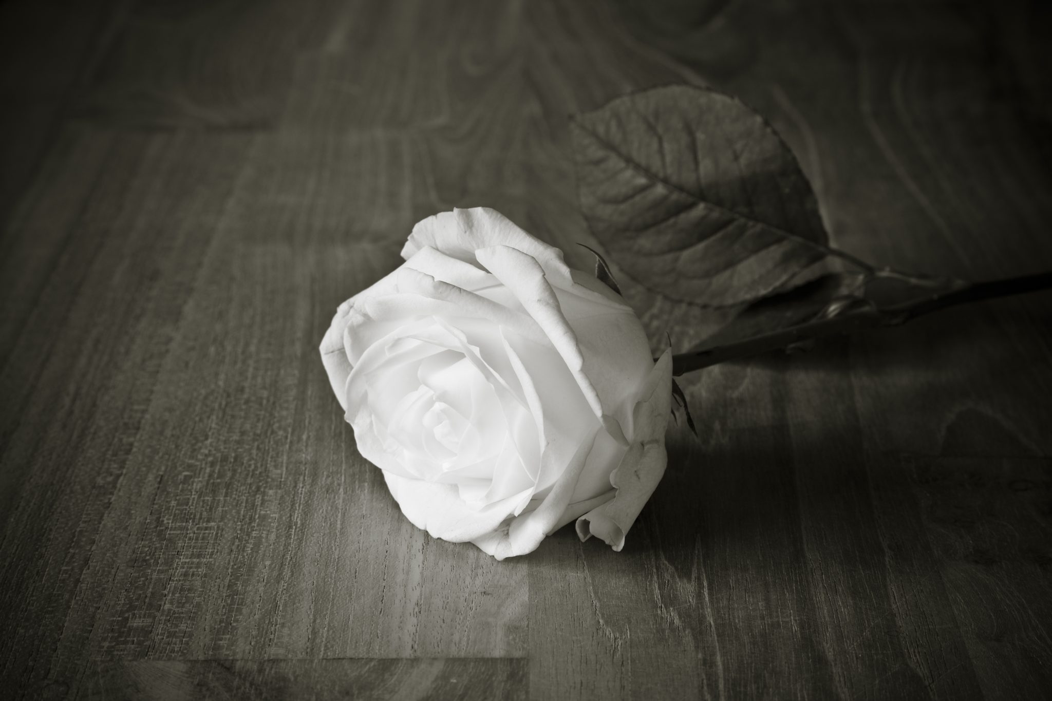 Dixie Lee Christison - KCHI